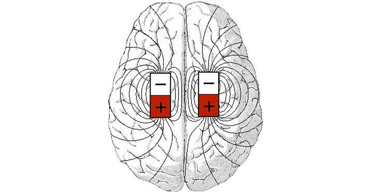 New Theory on the Physics of Consciousness Says: It's the Magnetic ...