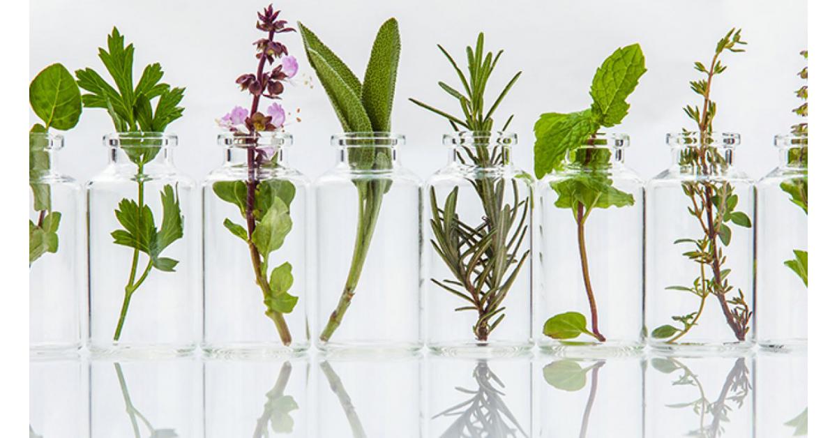 Botanical Extracts Market Next Big Thing | Major Giants Blue Sky ...