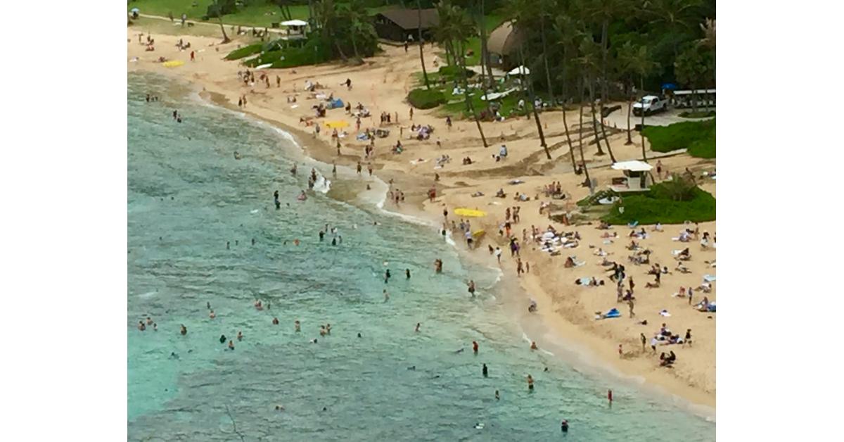 Sunscreen Pollution Threatens Health of Coral Reefs in Hanauma Bay, Hawaiʻi