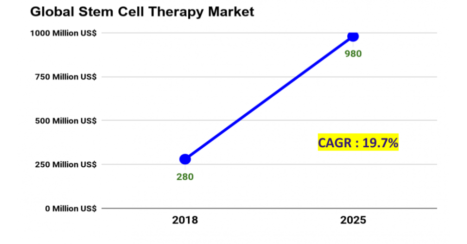 Global Stem Cell Therapy Market Worth 980 million US$ by the end of ...