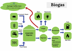 Biogas Market – Global Industry Analysis, Size, Share, Growth, Trends ...