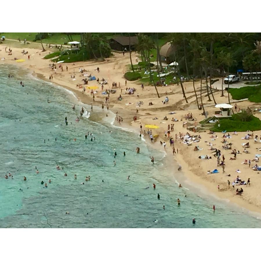 Sunscreen Pollution Threatens Health of Coral Reefs in Hanauma Bay, Hawaiʻi
