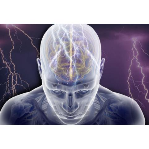 Announcing – Software for the human body. Bio energy patches made to ...